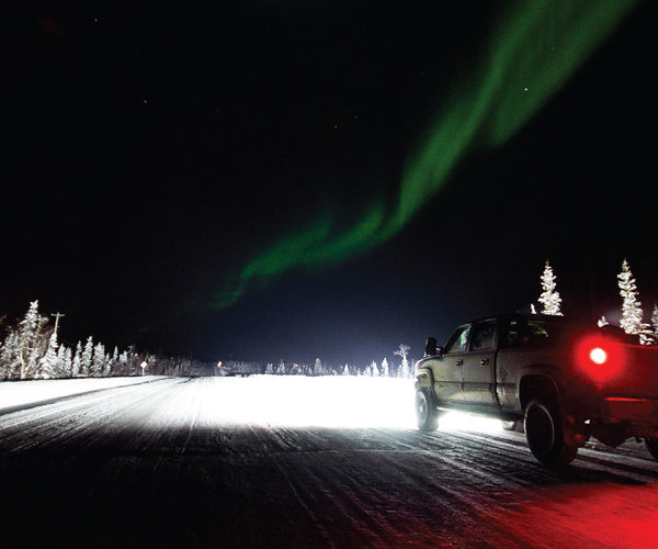 Turn Heads: LED Turn Signal Lights – Performance LED Lighting Ltd.